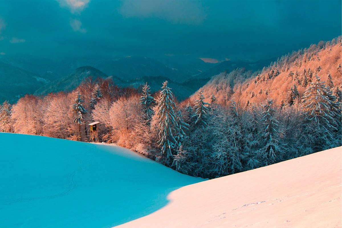 Zimski gozd z lovcem – Geopark Idrija | Zavod za turizem Idrija